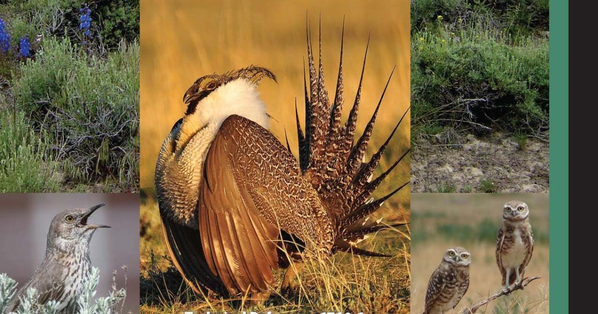 Sage-Grouse Habitat Assessment Framework: A Multiscale Assessment Tool ...