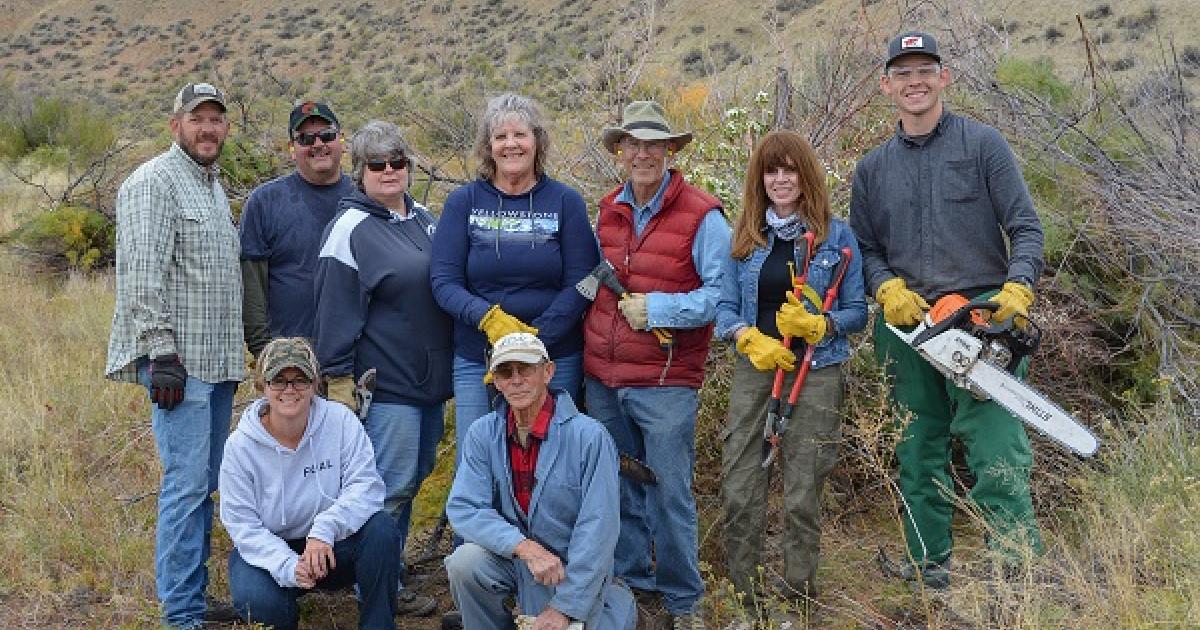 BLM and wild horse advocacy group improve habitat for all creatures ...