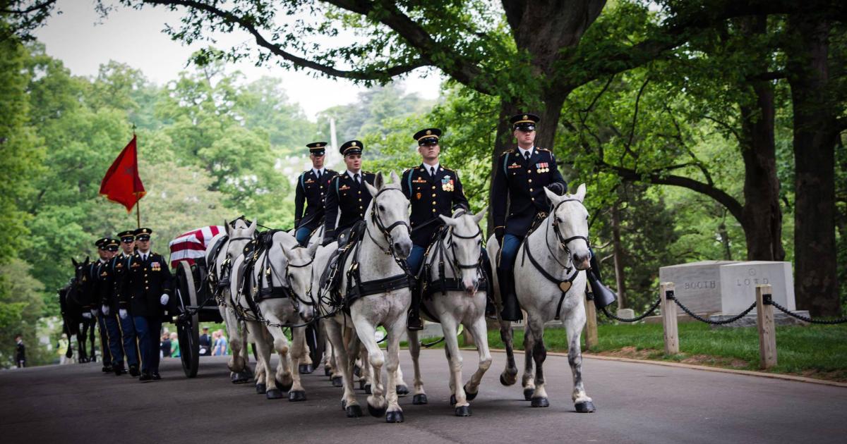 Caisson Platoon horses find a temporary home at the Meadowood Special ...