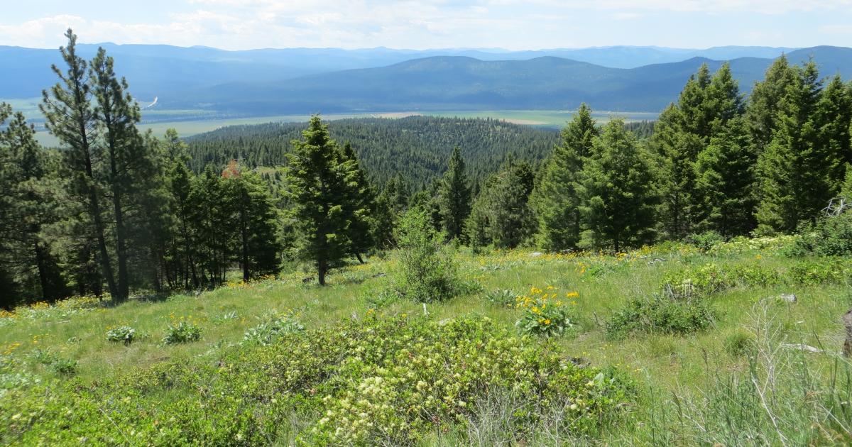 Missoula BLM adds 6,576 acres of new public land in Blackfoot River ...