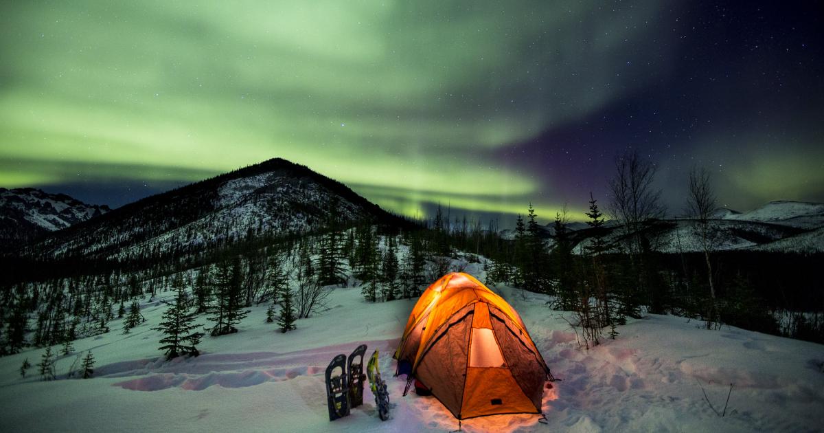 The beginning of BLM: How 486 words created the nation’s largest land ...