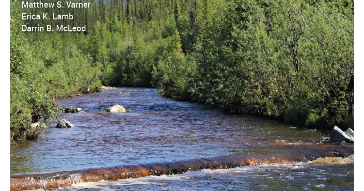Stream Reclamation Basics | Bureau of Land Management