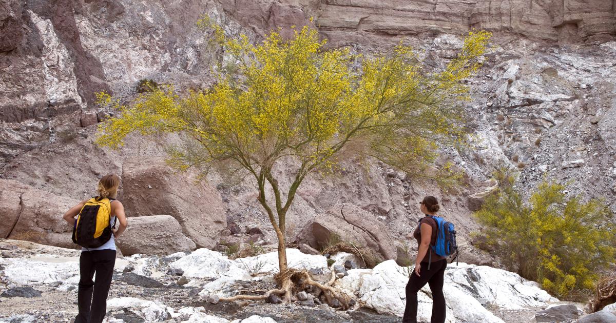 Stewardship drives the BLM’s approach to managing vast areas of public ...