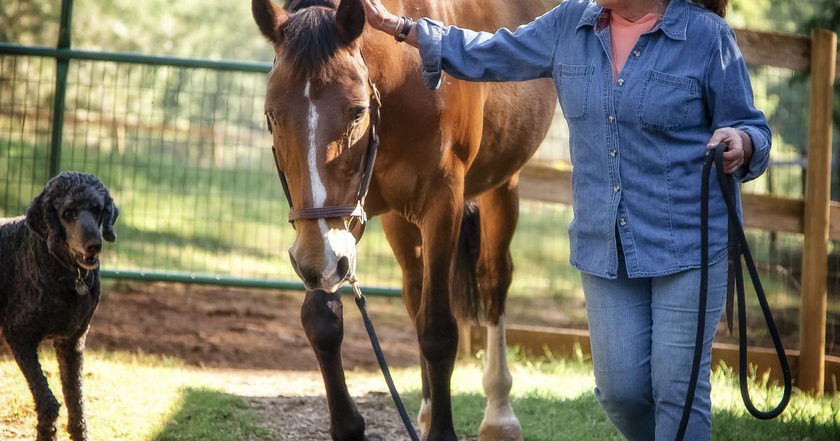 Wild horse and burro adoptions remain important programs for the BLM ...