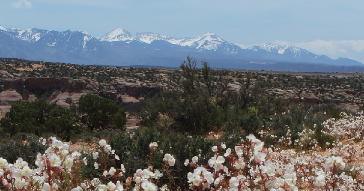 Memorial Day Weekend: Spring Into Adventure & Recreate Responsibly ...