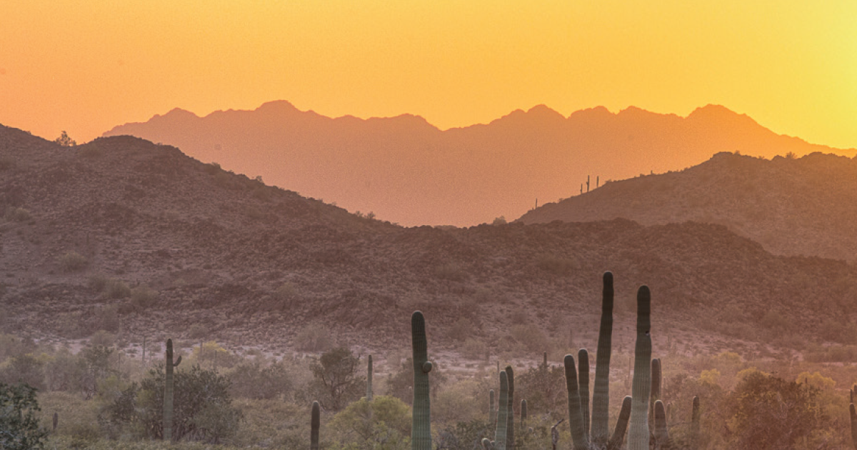 desert landscape information