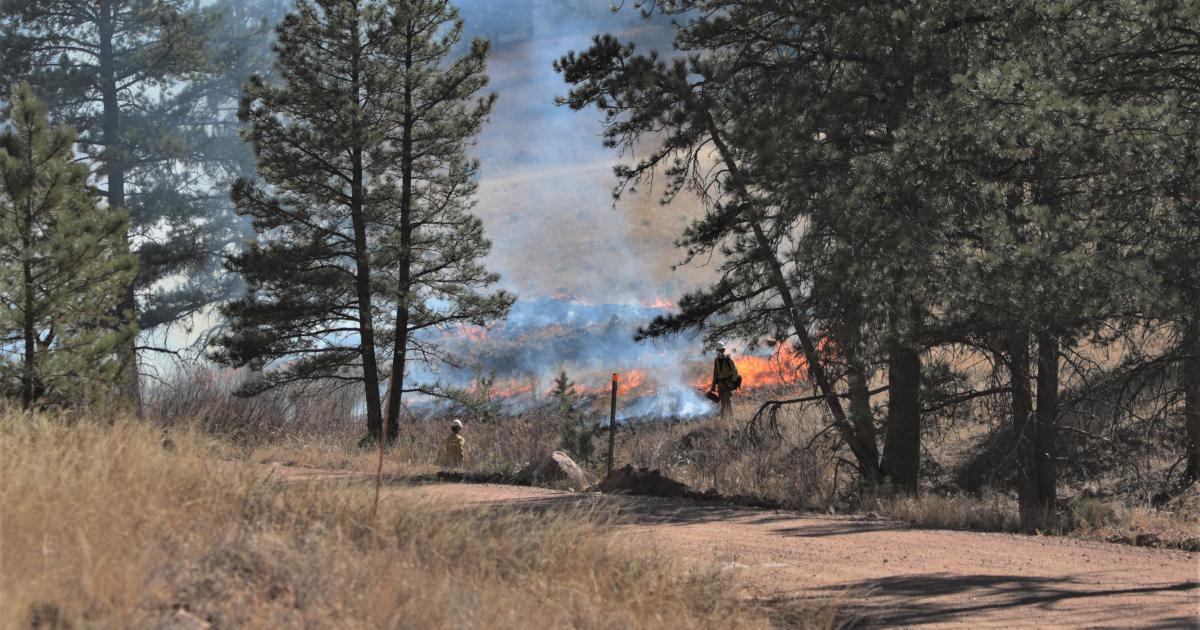 BLM planning annual prescribed burns | Bureau of Land Management
