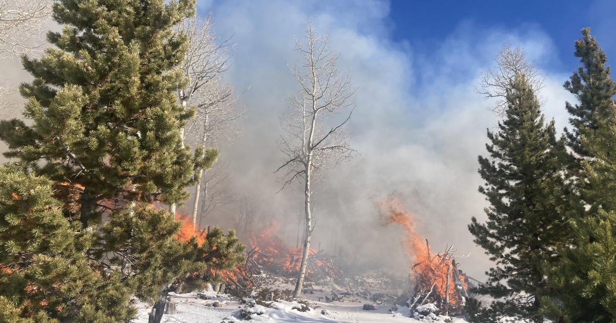 BLM Wind River/Bighorn Basin District to burn slash piles this fall and winter | Bureau of Land ...