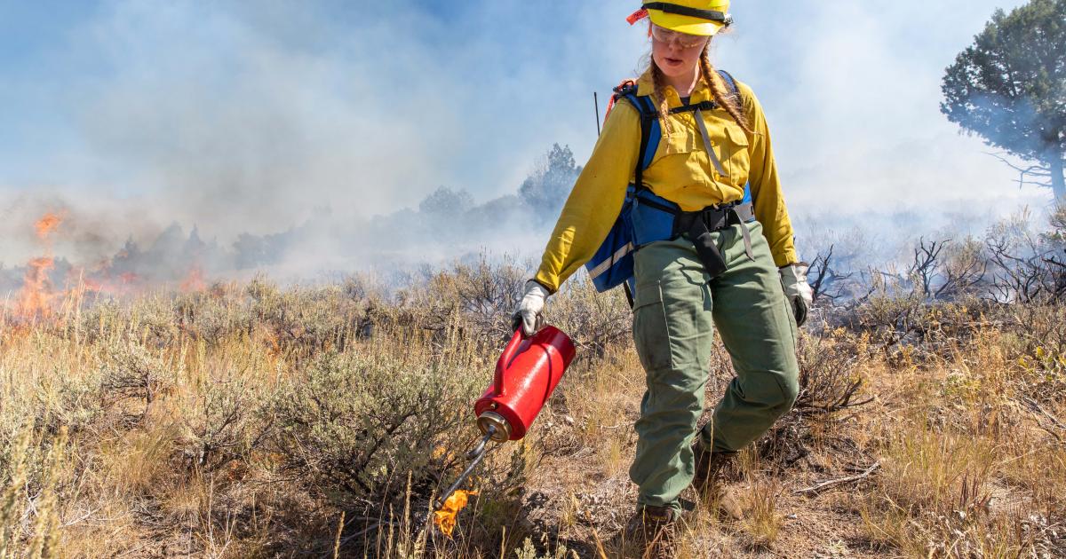 Prescribed fire planned for Grand Canyon-Parashant National Monument ...
