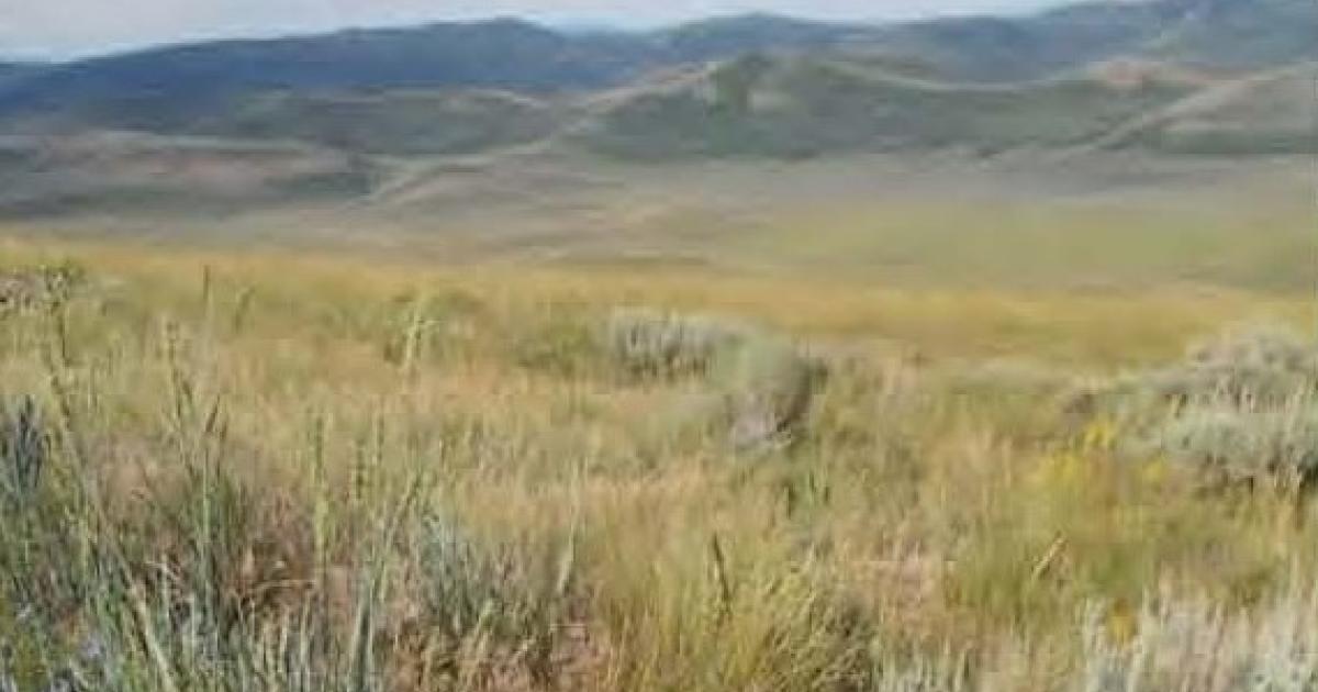 BLM seeks input on revised Caldwell Canyon mine plan in Idaho | Bureau ...