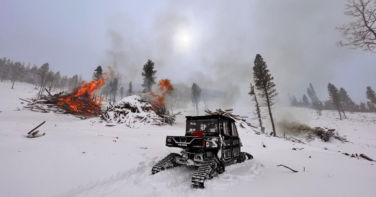 BLM plans annual pile burns | Bureau of Land Management