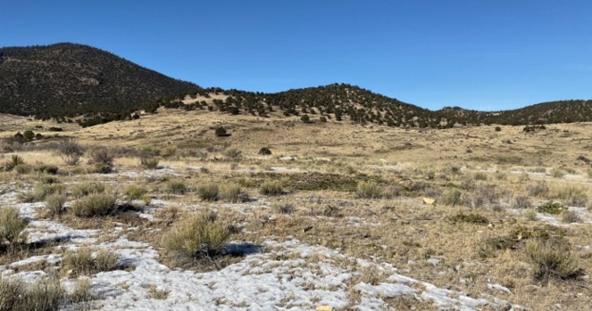 Are you a good neighbor? BLM sure is! Learn about our Good Neighbor ...