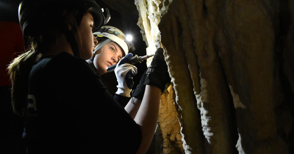 BLM teams up with Girl Scouts for cave restoration | Bureau of Land ...