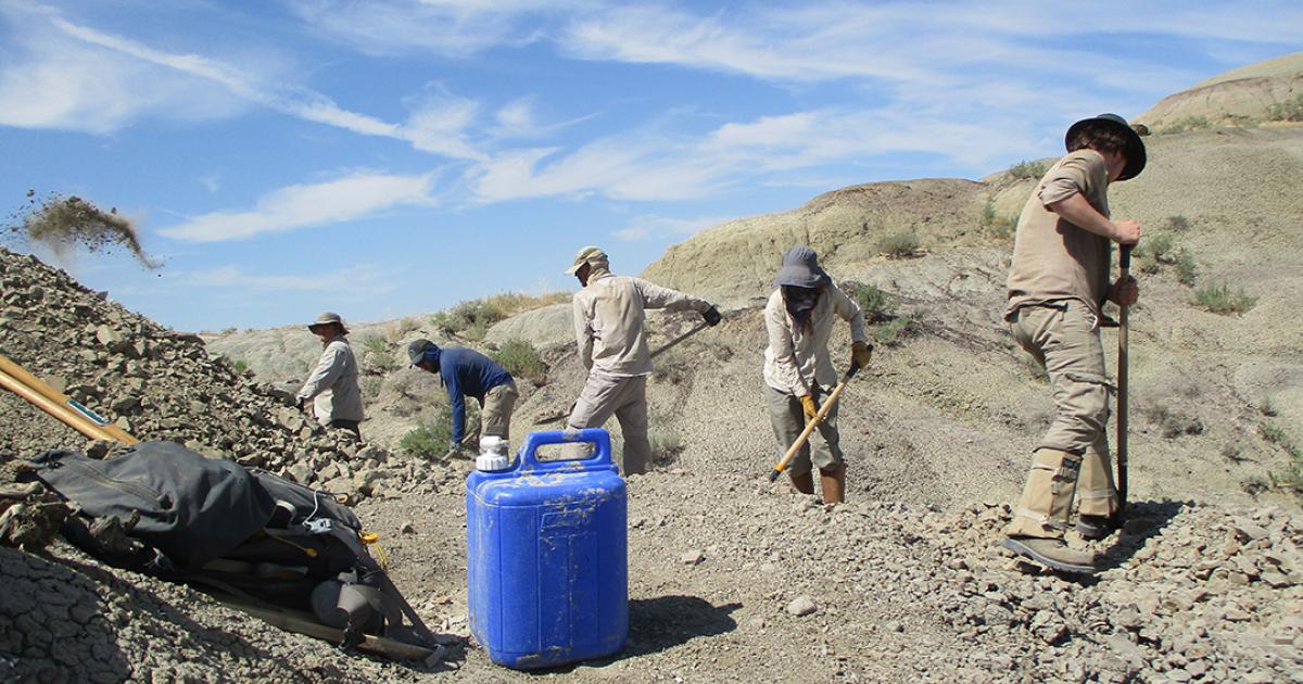 BLM releases Crowdsourcing and Citizen Science Action Plan | Bureau of ...