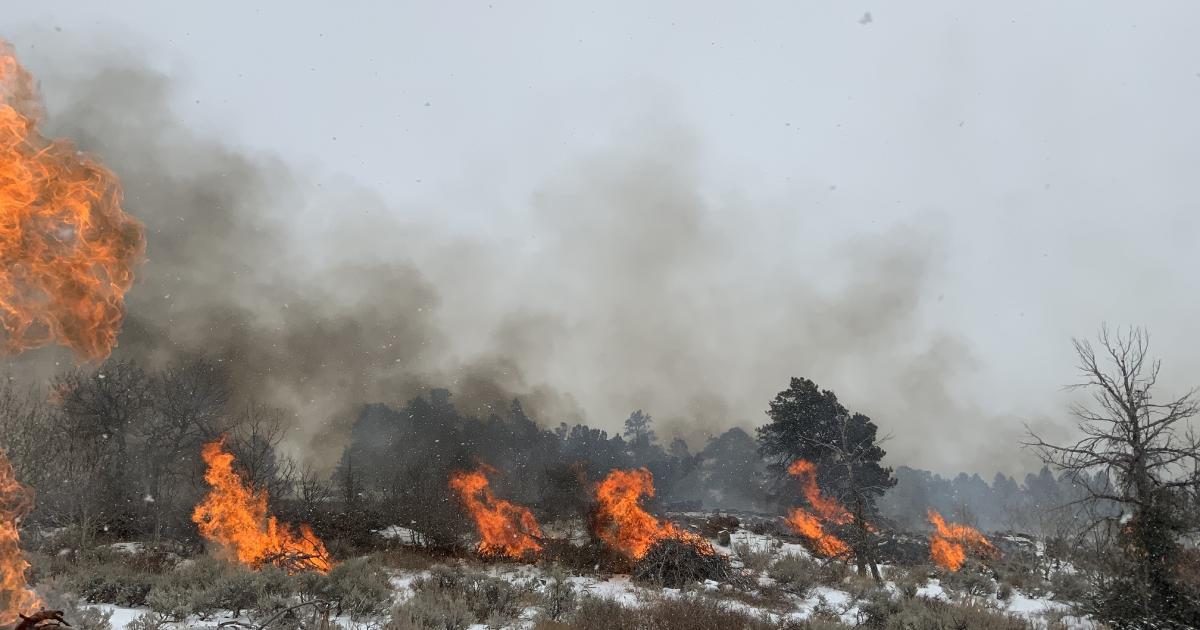 BLM Casper to burn slash piles in Natrona County | Bureau of Land Management
