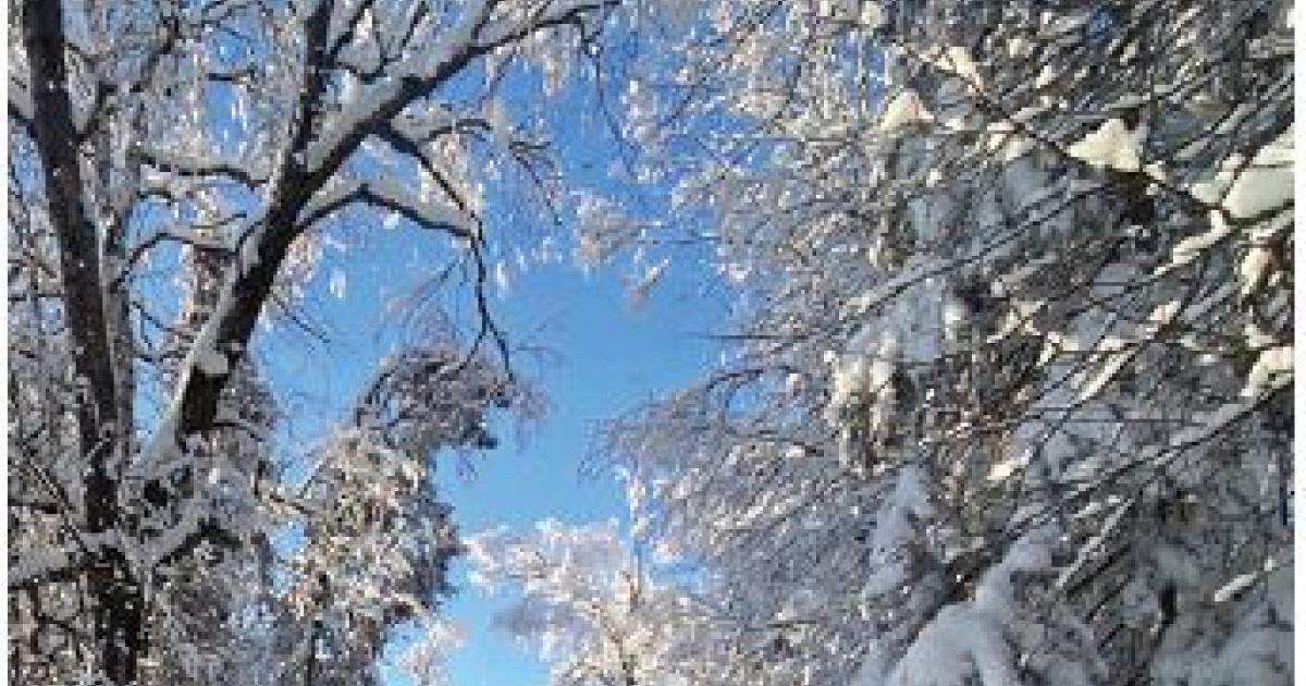 Campbell Tract Trail Map Brochure | Bureau of Land Management