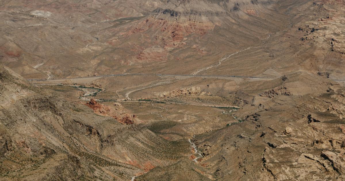 BLM, NPS seek input on wild burro plan in western Arizona | Bureau of ...