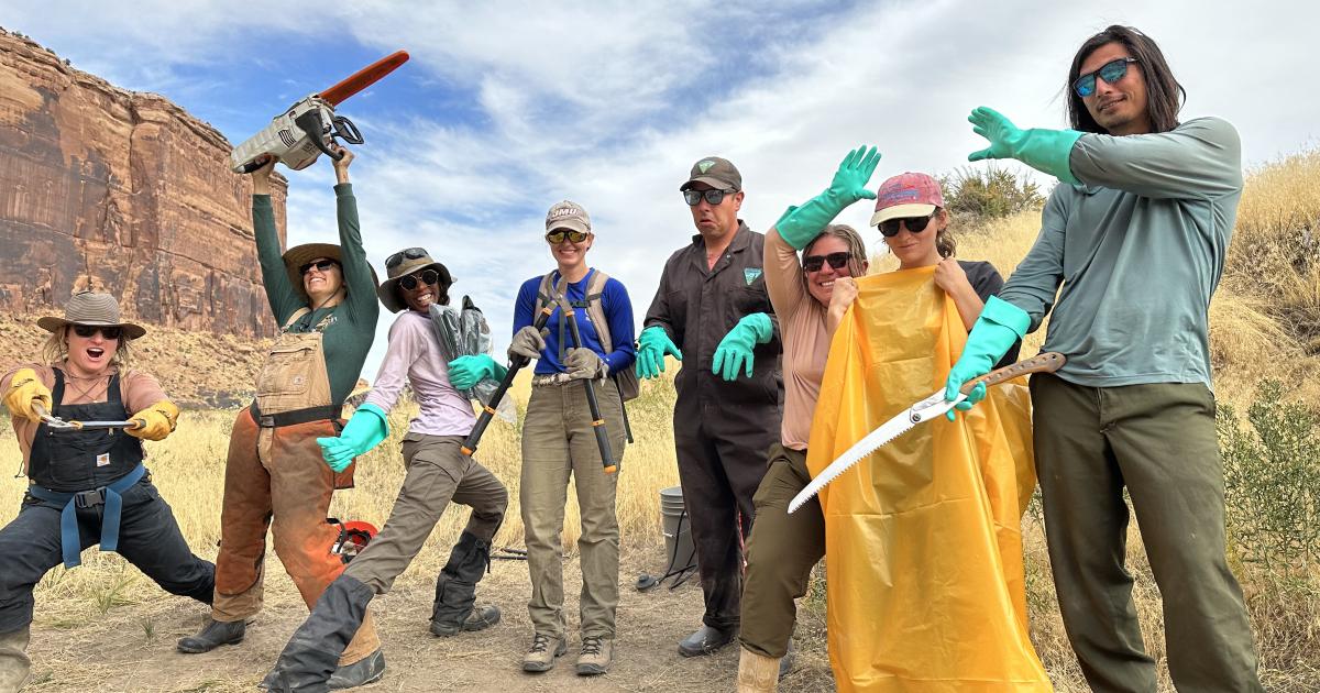 Fueling restoration: BLM Utah's mission to reclaim Westwater Canyon ...