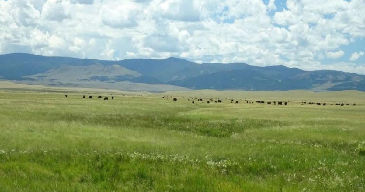 BLM seeks public comment for proposed gen-tie electric line project ...