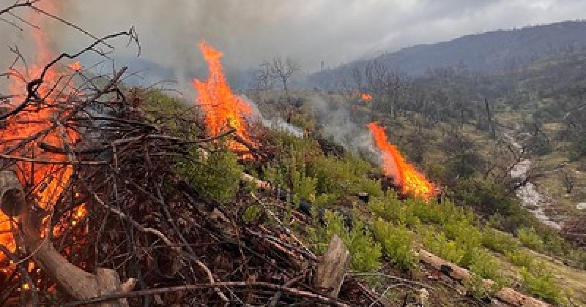 BLM plans prescribed fire projects in Shasta, Trinity counties | Bureau ...