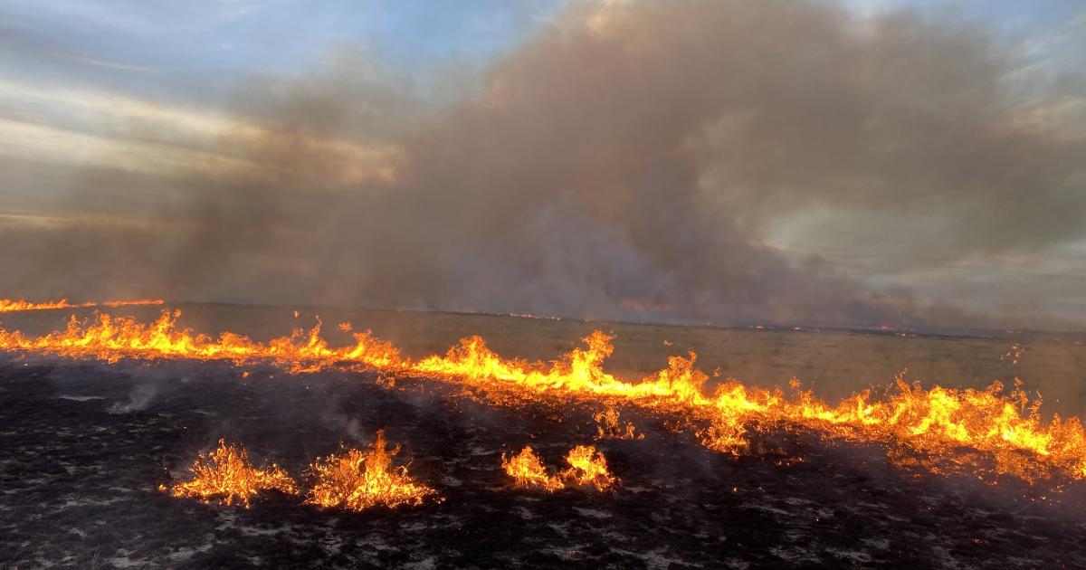BLM plans prescribed burn activities in Eddy County | Bureau of Land ...