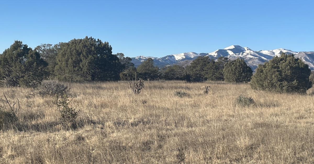 BLM plans prescribed burn activities in Chaves and Lincoln counties ...