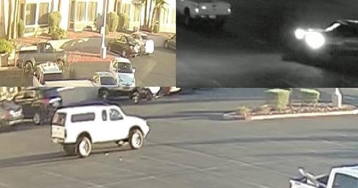 BLM seeks assistance in case involving 19 dead wild burros | Bureau of ...