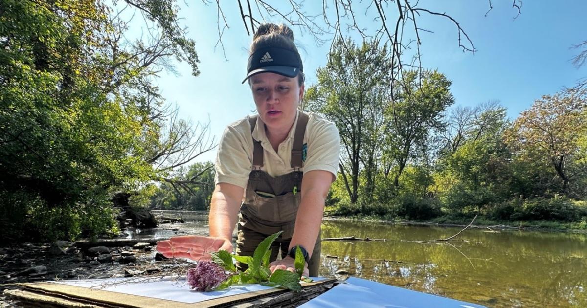 Northeastern States District adds to Seeds of Success and Smithsonian ...