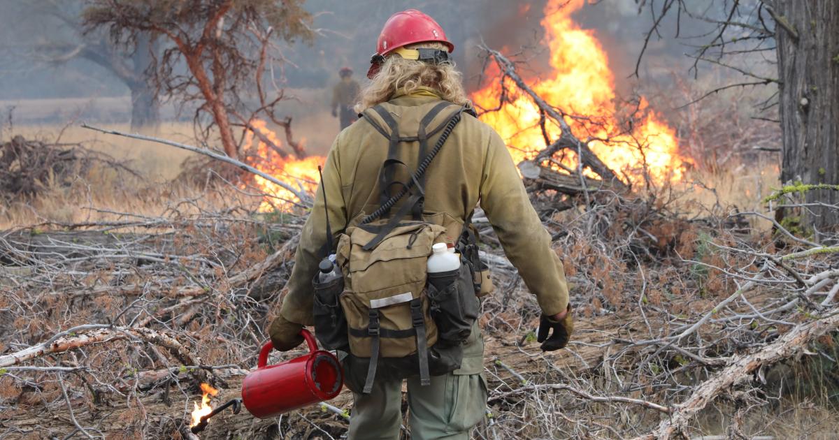 BLM to conduct prescribed burns to reduce wildfire risk | Bureau of ...
