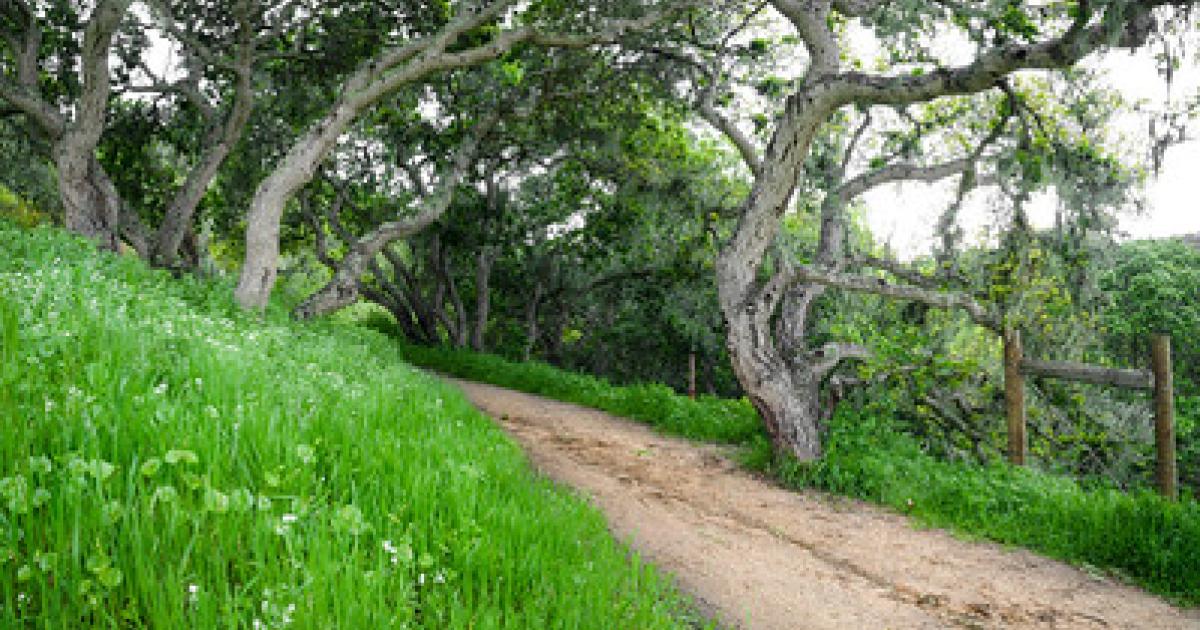 March 30: Community collaboration brings monumental recreation ...