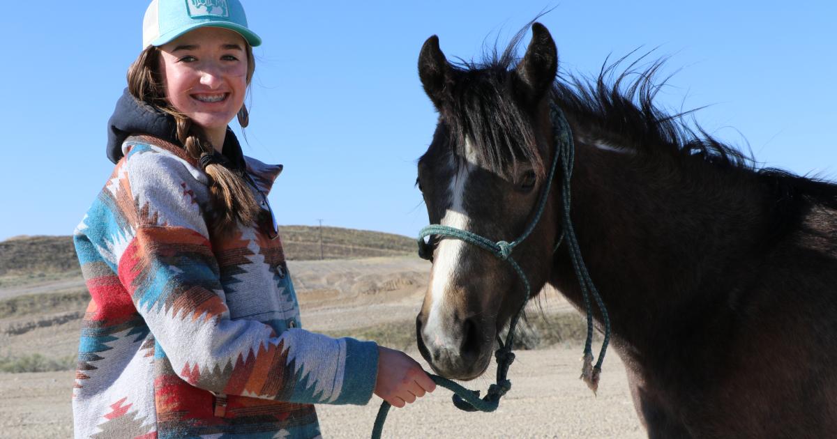 March 30: University of Idaho 4-H and BLM Horse Training program ...