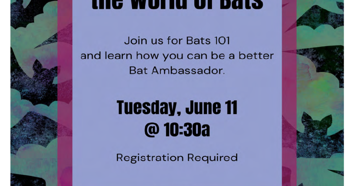 Flying into the World of Bats | Bureau of Land Management