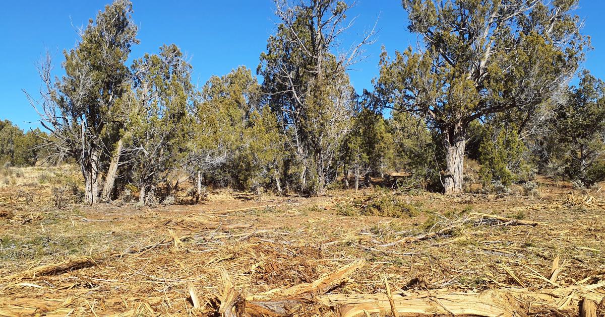 BLM partners with state, nonprofits to improve ecosystem health and ...