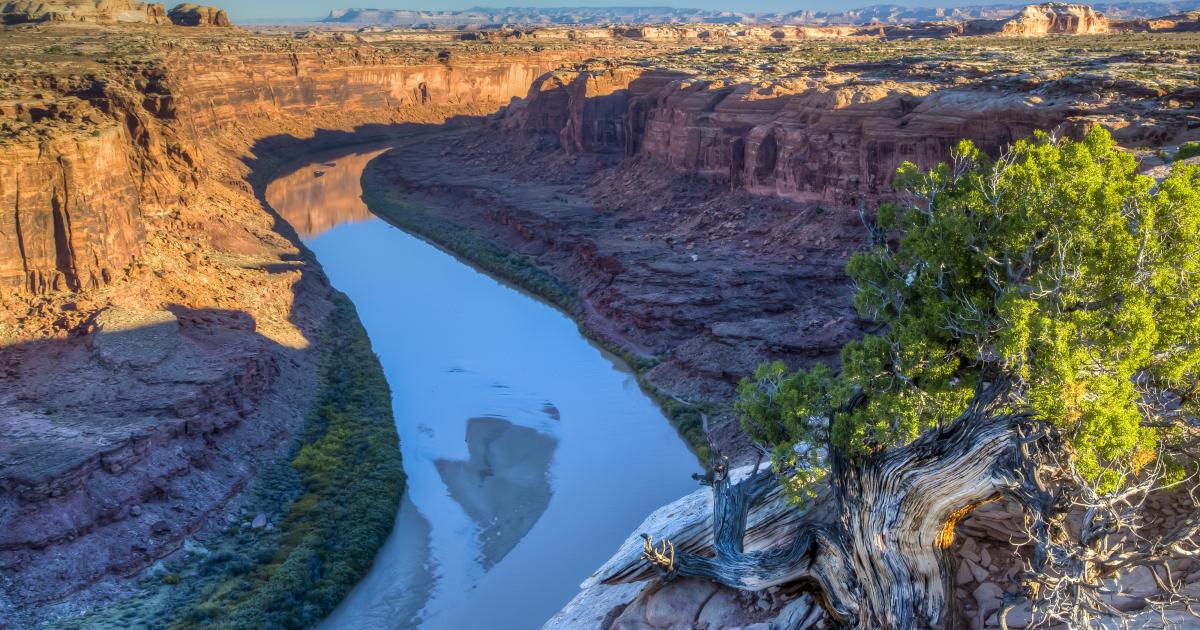 BLM, Foundation for America's Public Lands to address drought | Bureau ...