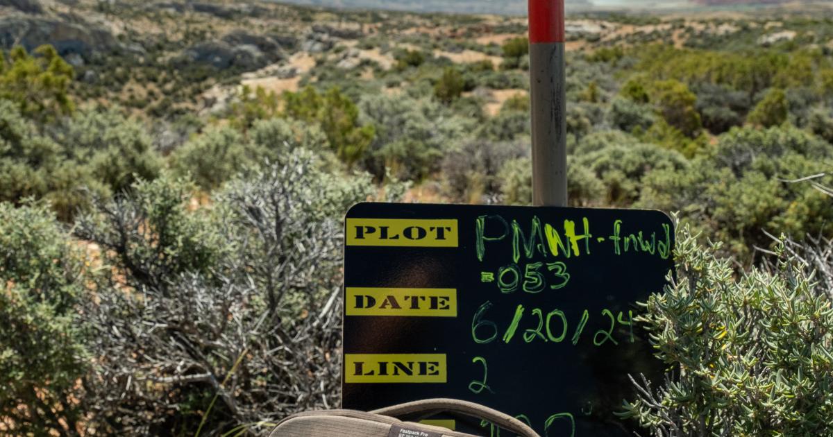 AIMing High: AIM crew gathers soil and vegetation data from the Pryor ...