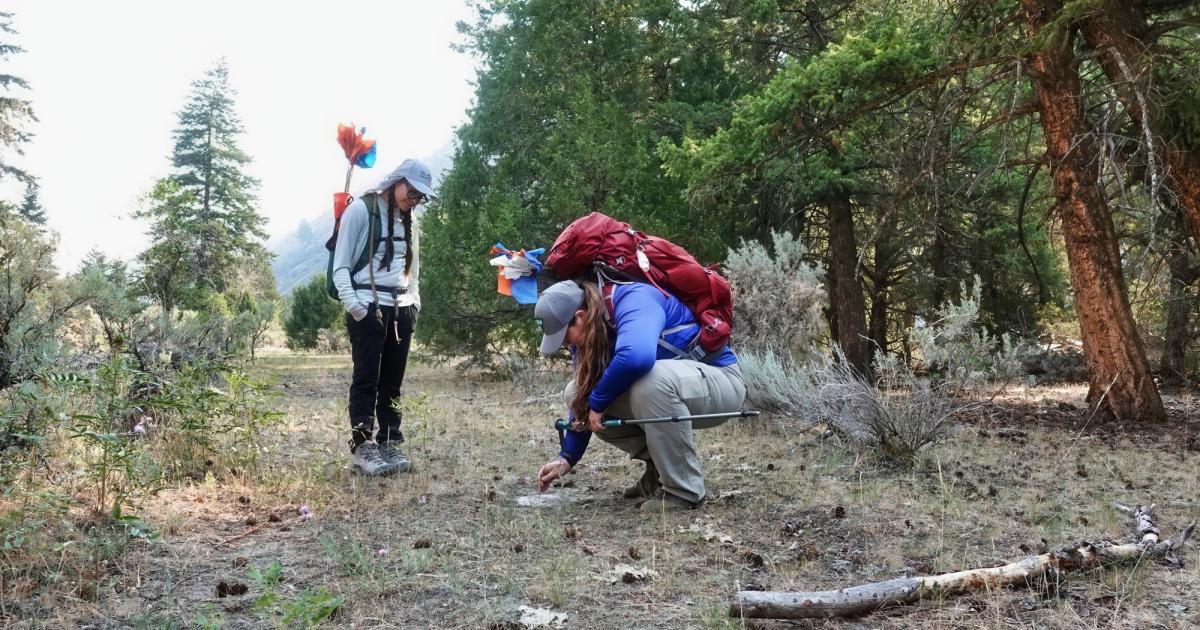 BLM Archaeology in Action | Bureau of Land Management
