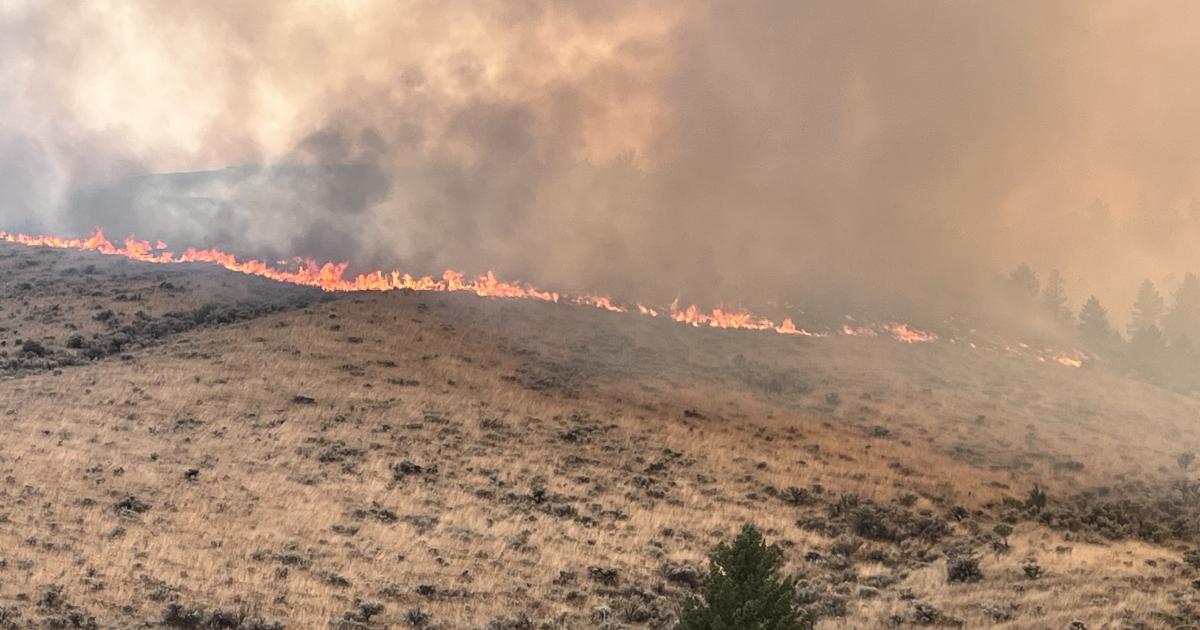 BLM issues emergency fire closure in Williams Lake area due to Thunder ...