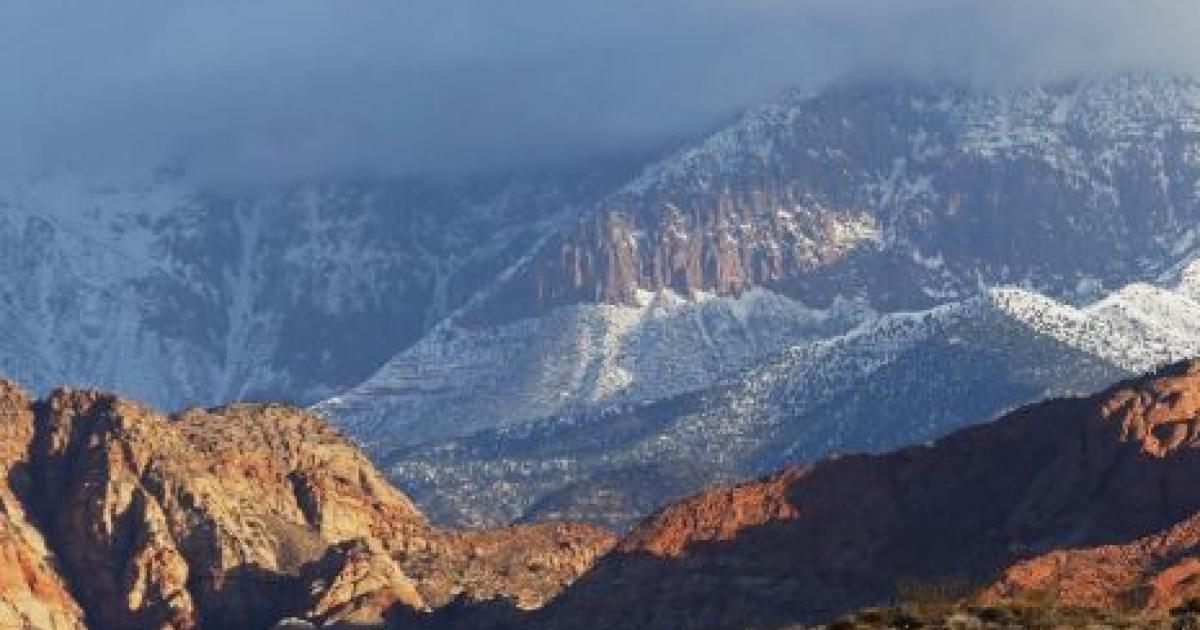 Red Cliffs Manager's Report 2023 | Bureau of Land Management