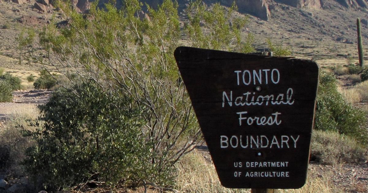 Public Land Order No. 7943; Withdrawal of National Forest System Lands ...