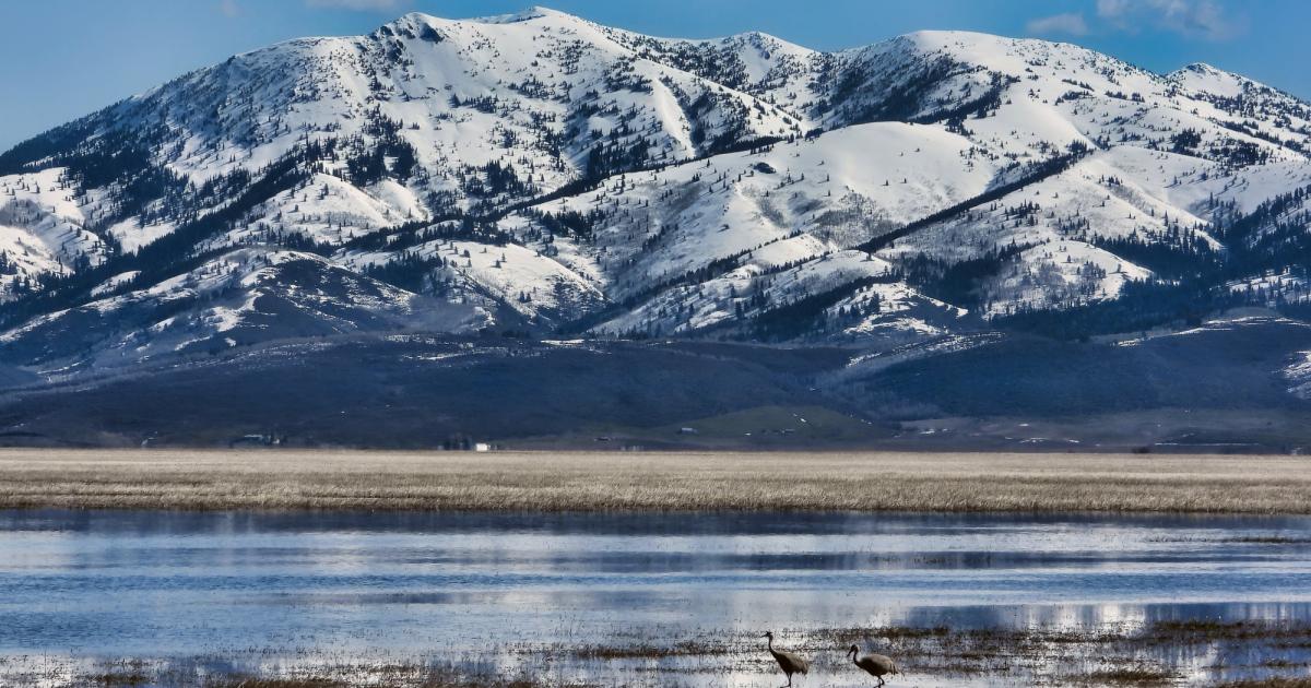 BLM proposes to transfer 160 acres to Grays Lake National Wildlife ...