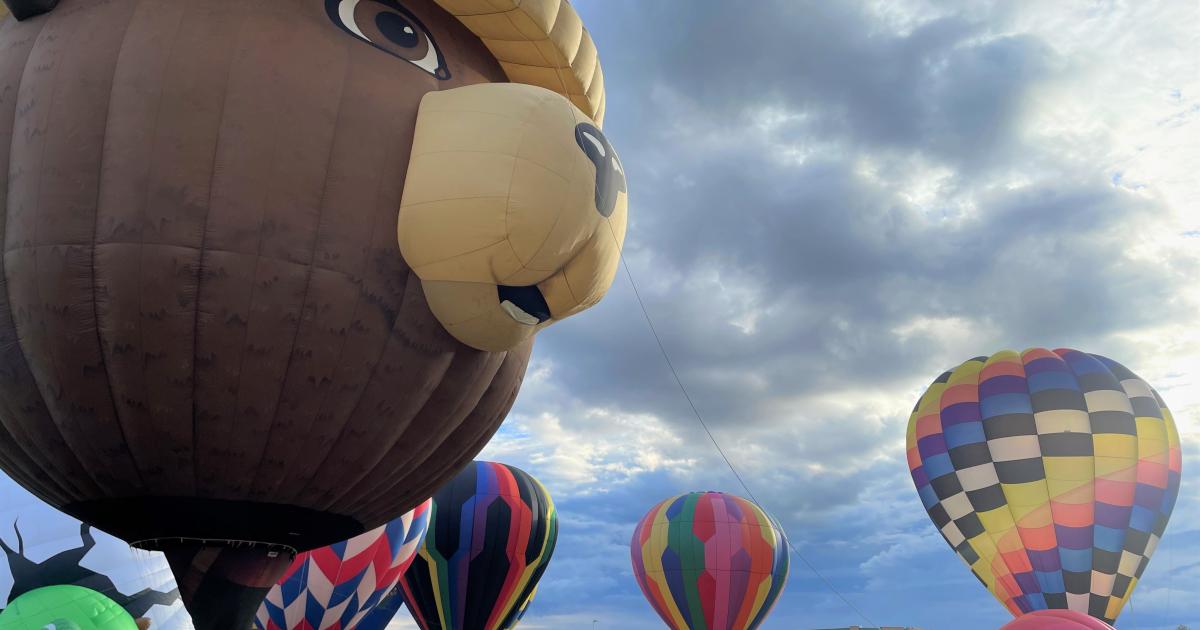 Taking Fire Prevention to New Heights: Dinah Soar Days with Smokey Bear ...