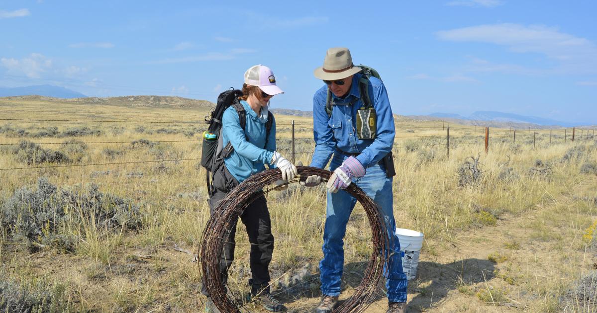 BLM and partners host two National Public Lands Day events near Cody ...