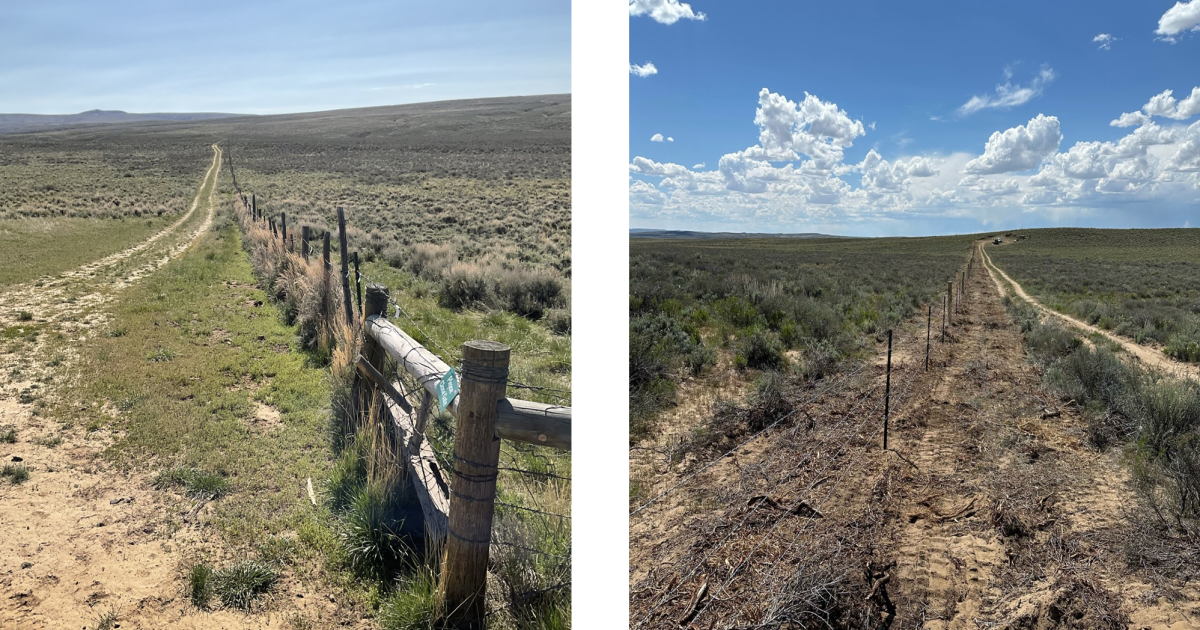 BLM completes wildlife friendly fence conversion at JO ranch | Bureau ...