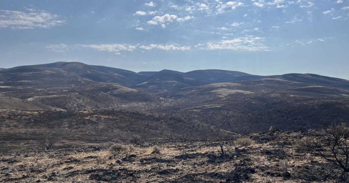 Temporary closure in effect to mitigate stress to wildlife due to loss ...