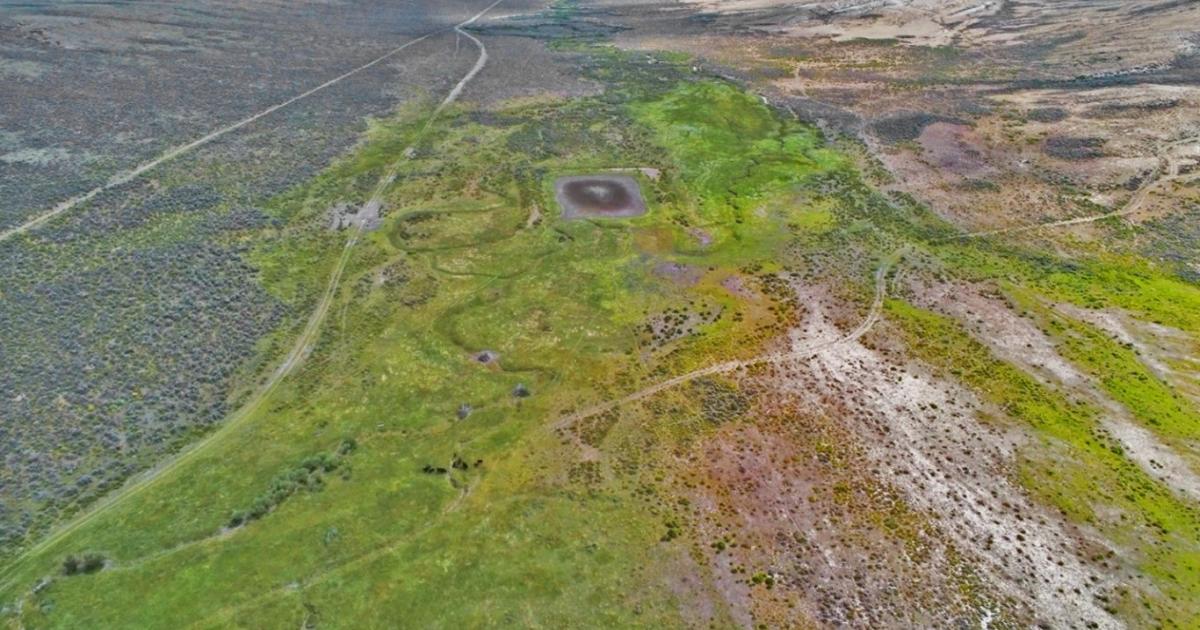 BLM uses UAS to facilitate restoration | Bureau of Land Management