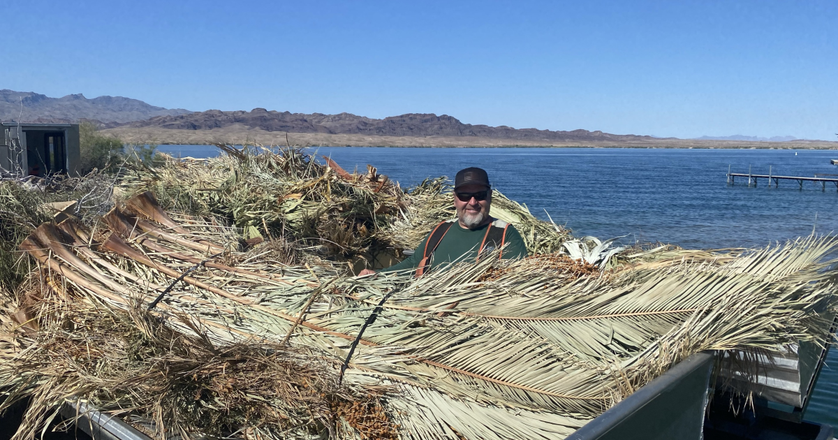 BLM seeks annual Christmas tree donations | Bureau of Land Management