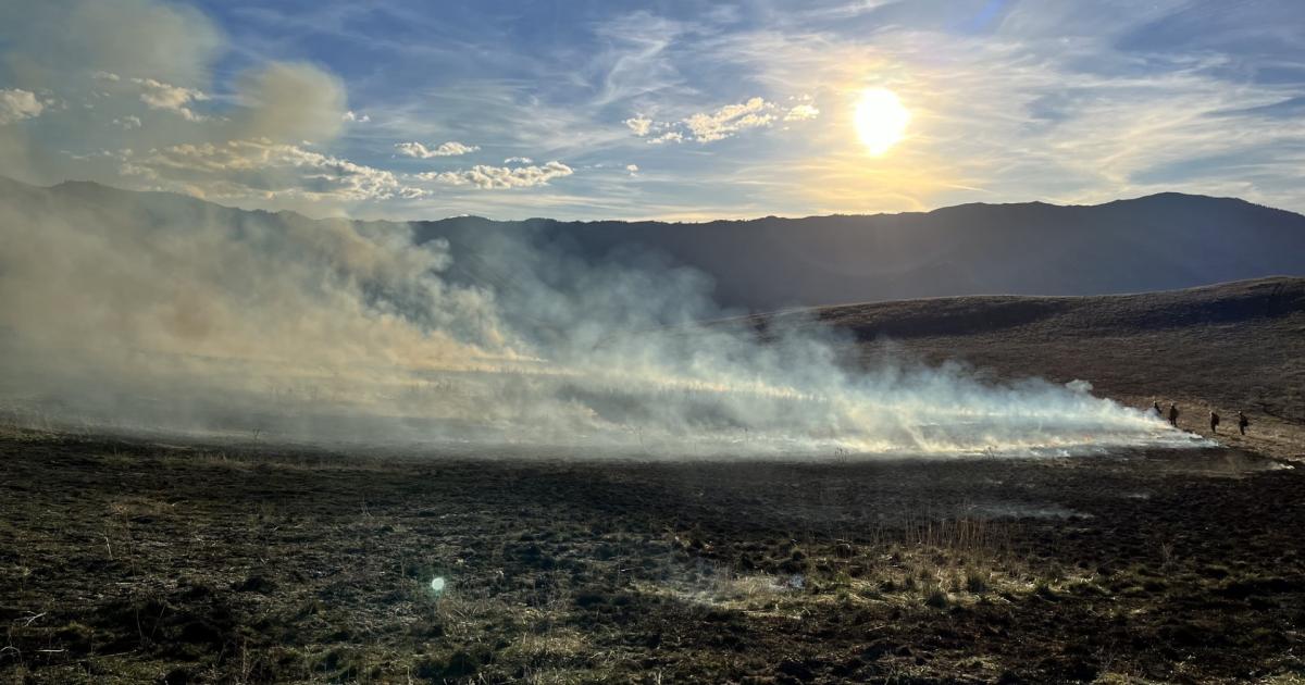 BLM announces seasonal prescribed burning projects in north and north ...