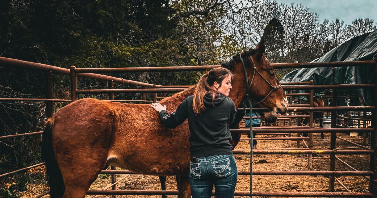 BLM Wild Horse & Burro Program Adoption Experiences: First responder’s ...
