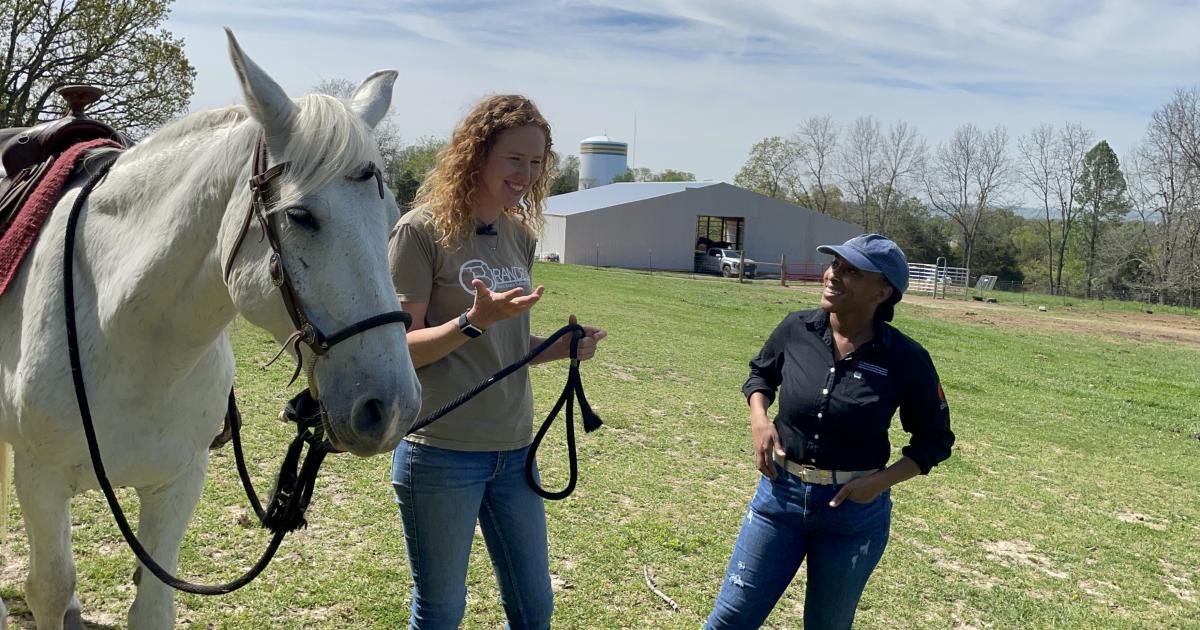 BLM Wild Horse & Burro Program Adoption Experiences: Equine therapy ...