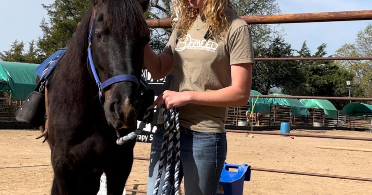 BLM Wild Horse & Burro Program Adoption Experiences: Equine therapy ...